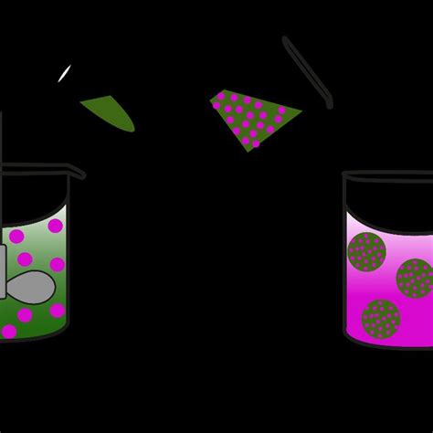 Double Emulsion Technique For The Preparation Of Microparticles Download Scientific Diagram