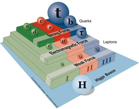 Elementary Particles