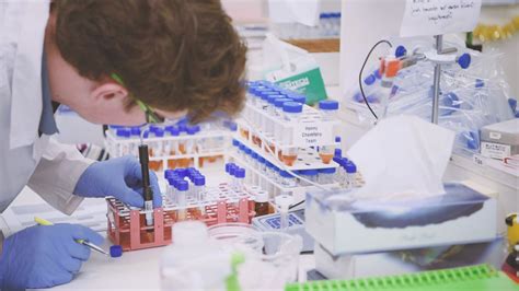 Identifying Adulterated Honey Tips And Impacts Manukora