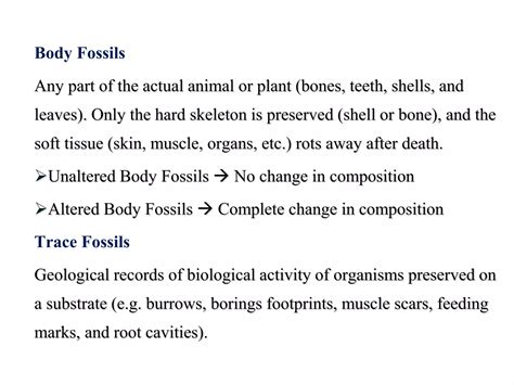 Fossils And Fossilization Ppt