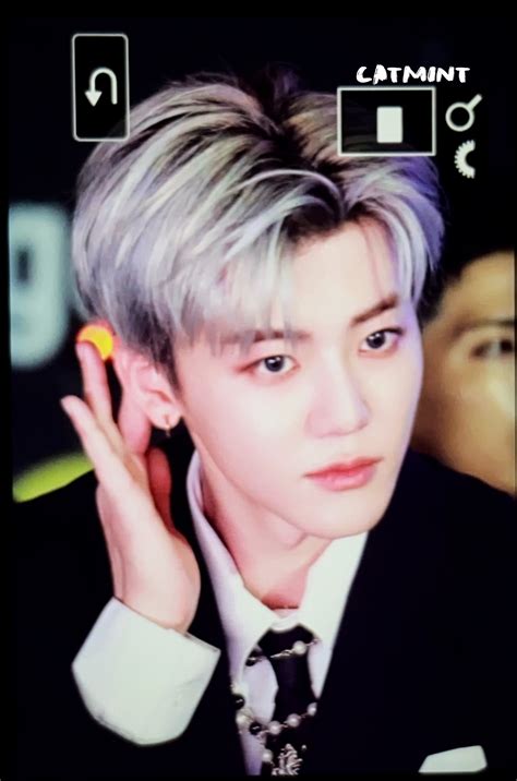 Catmint Catmint0813 Twitter