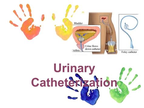 Urinary Catheterization Pptx First Aid Injuries
