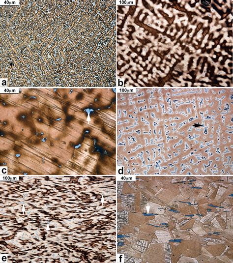 optical micrographs a f micrographs showing the structure of