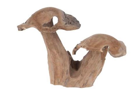 Dijk Teakholz Doppelpilz Small