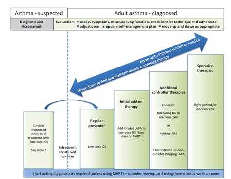 Management Of Chronic Asthma In Adults Gpnotebook