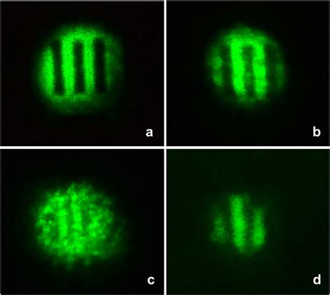 Phase Conjugation Demonstration Optical Wave Front Conjugation