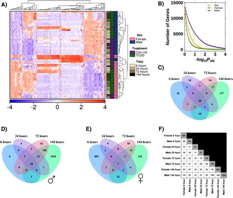 Overview Of Transcriptional Profiles Download Scientific Diagram