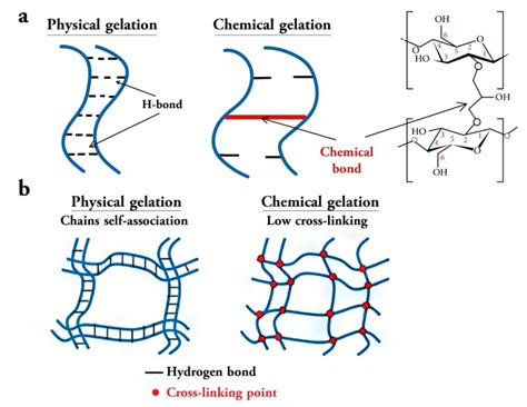 A Depicts A Schematic Of The Topology Of Physical And Chemical