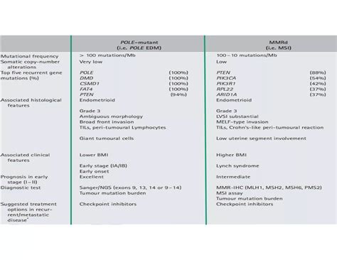 Molecular Classification Of Endometrial Cancer Pdf