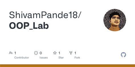 Github Shivampande18ooplab