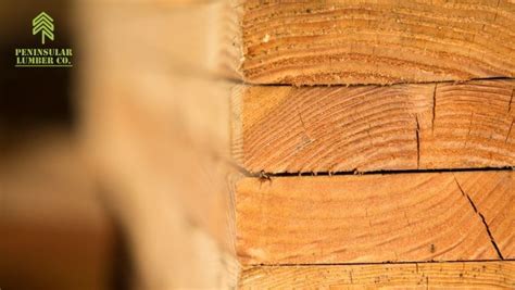 Reasons To Use Treated Lumber For Your Building Projects