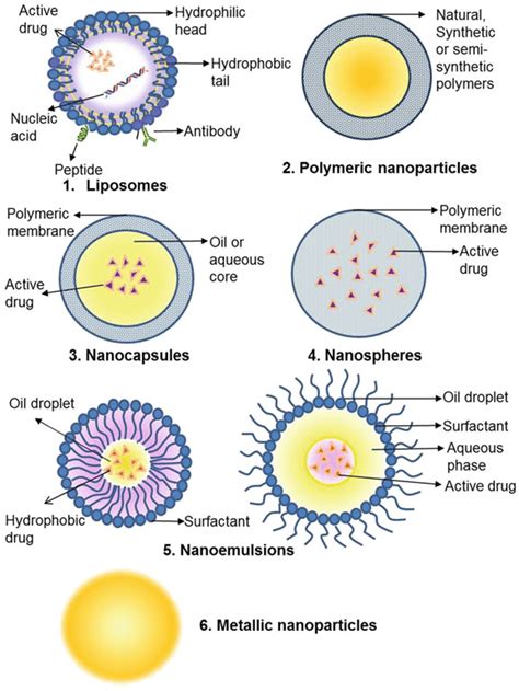 1 Schematic Representation Of The Structure Of Various Nanoparticles Download Scientific Diagram