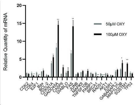 Relative Quantity Of Mrna Expression From Mcf7 Cells Treated With