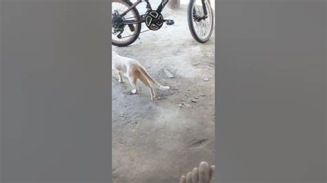 Yyyyyyyyyyyyyyyyyyyyyy Youtube