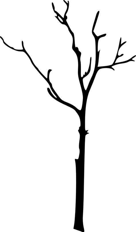 Bare Tree Silhouette PNG Transparent Vol OnlyGFX Com