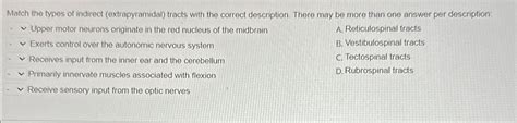 Solved Match The Types Of Indirect Extrapyramidal ﻿tracts