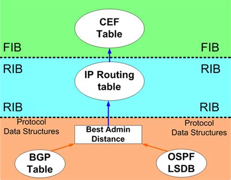 Rib And Fib Understanding The Terminology Das Blinken Lichten