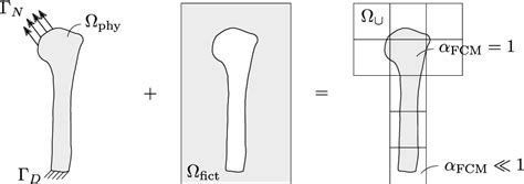 figure 1 from predicting fracture in the proximal humerus using phase