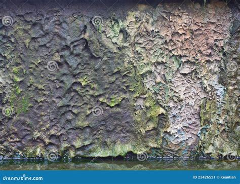 Algae Stains Stock Image Image Of Dirt Ecology Dirty 23426521