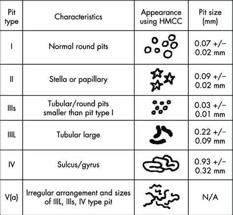 The Modified Kudo Criteria For The Classification Of Colorectal Crypt