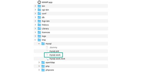 MAMPでDrushを使うとIn Connection php line 189 SQLSTATE HY000 2002 No such file or directoryが表示さ