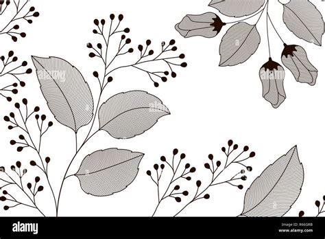 Flowers With Branches And Leaves Icon Stock Vector Image Art Alamy