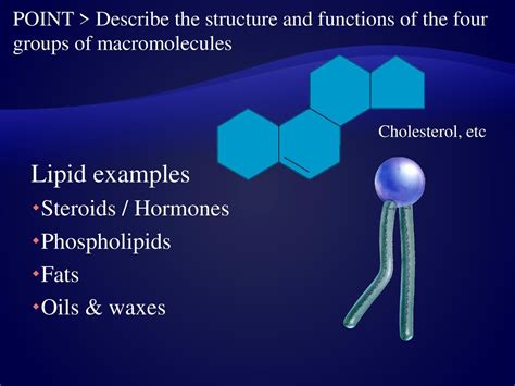 Waxes Oils And Fats Are Examples Of