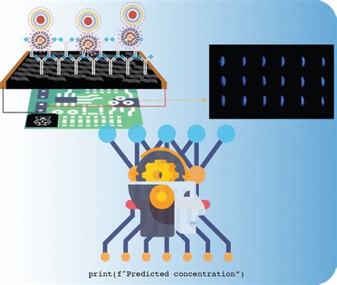 Boosting Electrochemiluminescence Immunoassay Sensitivity Via Copt
