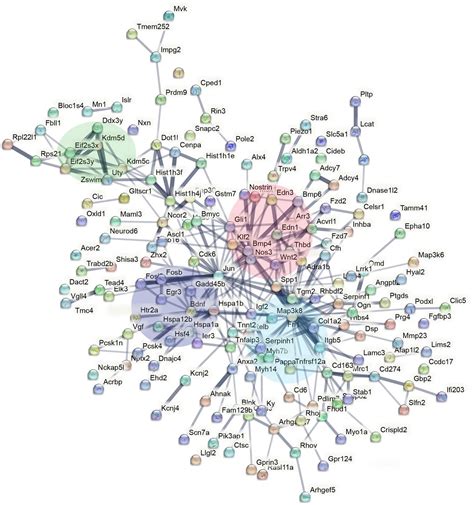 Frontiers Sex Specific Regulation Of The Cortical Transcriptome In Response To Sleep Deprivation