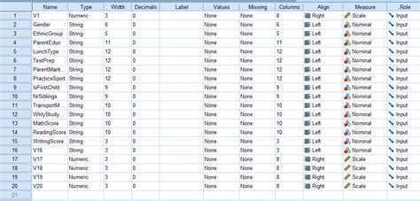 IBM SPSS Statistics Tutorial Part Importing Data Your Right Decision Blog