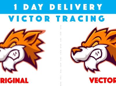 Perfect Vector Tracing Graphics Upwork