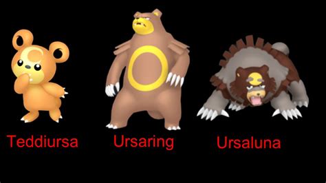 Shiny Teddiursa Ursaring And Ursaluna Evolution Youtube