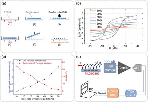 magnetic tactile sensor with bionic hair array for sliding sensing and object recognition man
