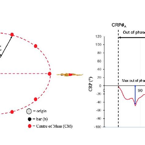 Group Average For Key Continuous Relative Phase Variables As A Function Download Scientific