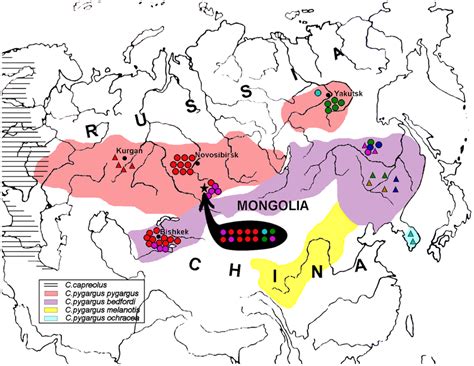 geographical distribution of the samples superimposed on the modern