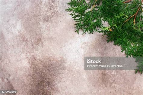 베이지 색 질감 그런지 배경에 투자 가지 크리스마스 구성 상단 보기 플랫 레이 복사 공간 0명에 대한 스톡 사진 및 기타 이미지 Istock