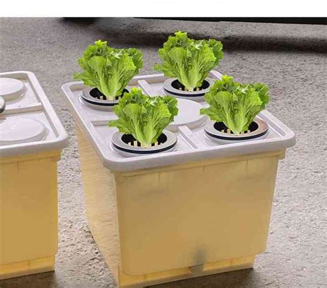 Hydroponic Water Circulation Eu Standard Pump Smart Timer Pump System