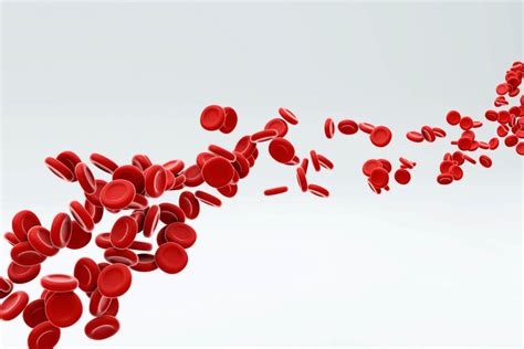 Hematology Lab Solutions By Dksh