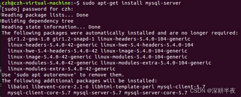 Tinywebserver 学习记录之 环境搭建运行 及 报错解决tinywebserver数据库连接错误 Csdn博客