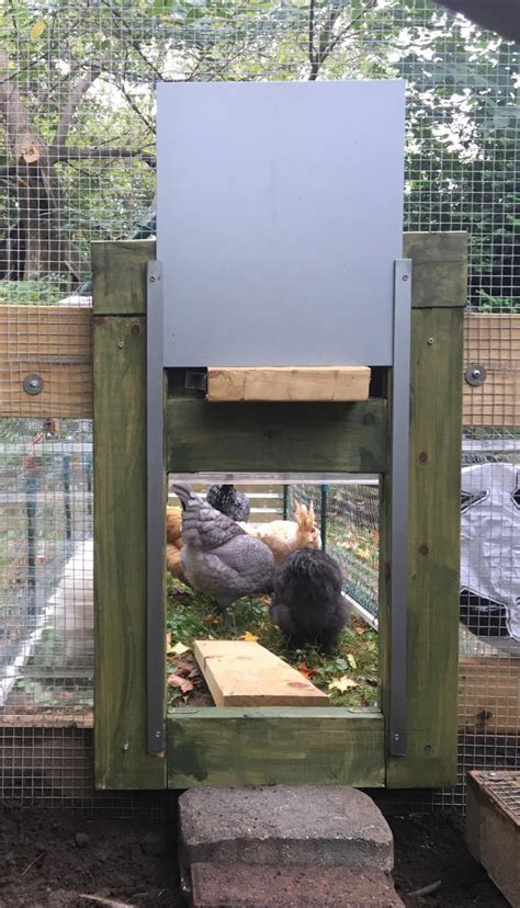 Automatic Locking Chicken Coop Door Chicken House Pop Hole For