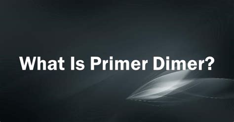 What Is Primer Dimer