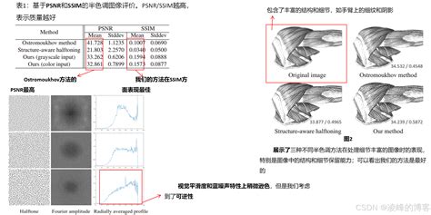 可逆半色调技术：从噪声图像到高质量彩色图像的转变 可逆cnn网格半色调处理 csdn博客