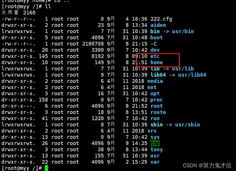 Linux 基础命令 Cd Xxx 和 Cd Xxx 的区别linux Cd Csdn博客 Linux 基础命令 Cd Xxx 和 Cd Xxx 的区别linux Cd Csdn博客