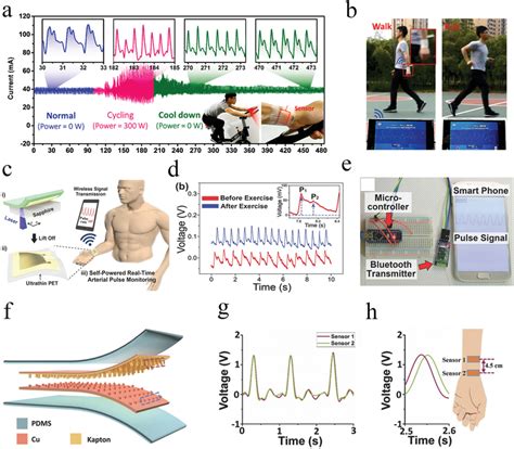A Schematic Diagram Of A Icp Sensor B Icp Measured By The Sensor