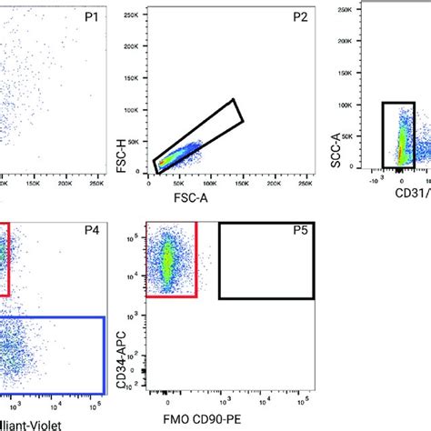 Representative Facs Plots For Fmo Control For Cd34 Apc P1 Fsc A Vs Download Scientific