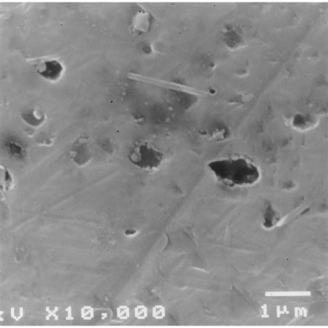 Bond Interface Of A Specimen Bonded Using Interface Treatment Applied Download Scientific