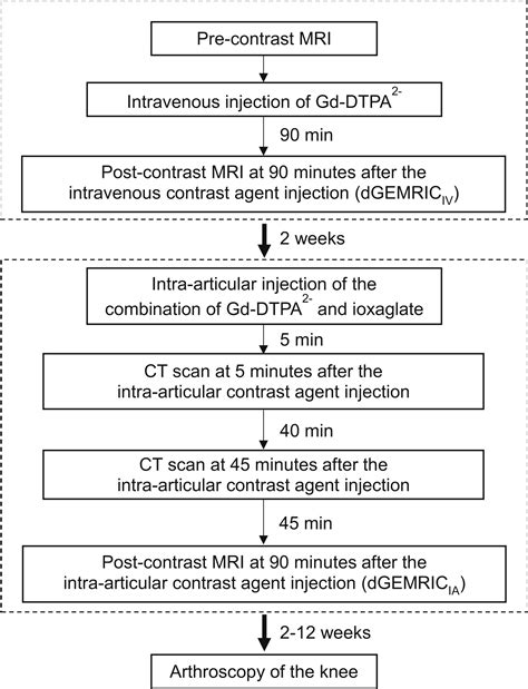 In Vivo Comparison Of Delayed Gadolinium Enhanced Mri Of Cartilage And