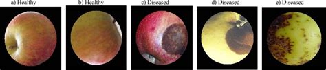 Figure 1 From Analyzing Surface Defects In Apples Using Gabor Features