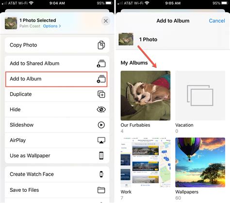 How To Create And Manage Photo Albums On Iphone Ipad