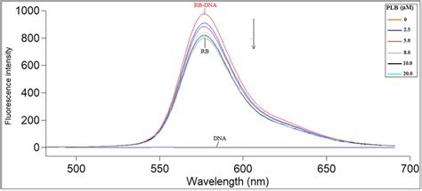 Fluorescence Emission Spectra Of Rb Ct Dna Complex At 298 K With Or